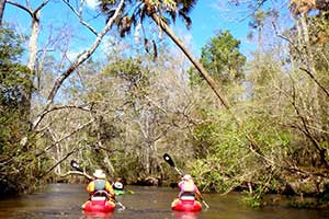 Econfina Creek - Ponce de Leon, Florida - Florida Springs