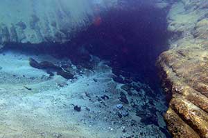 Jackson Blue Spring - Marianna, Florida - Florida Springs