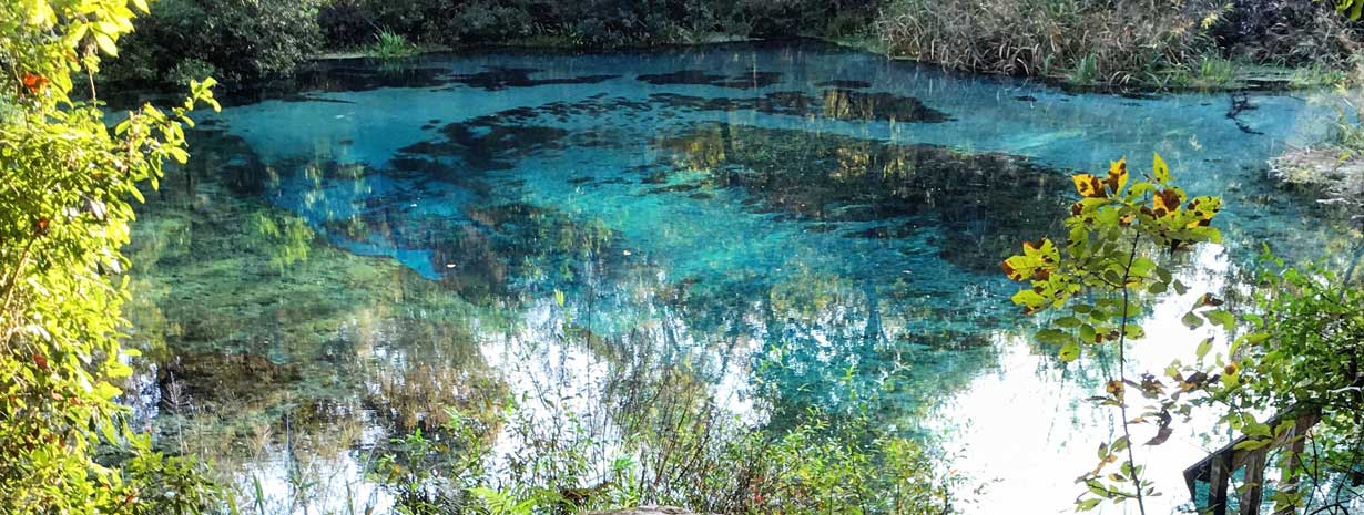 Curtis Whitwam Photography