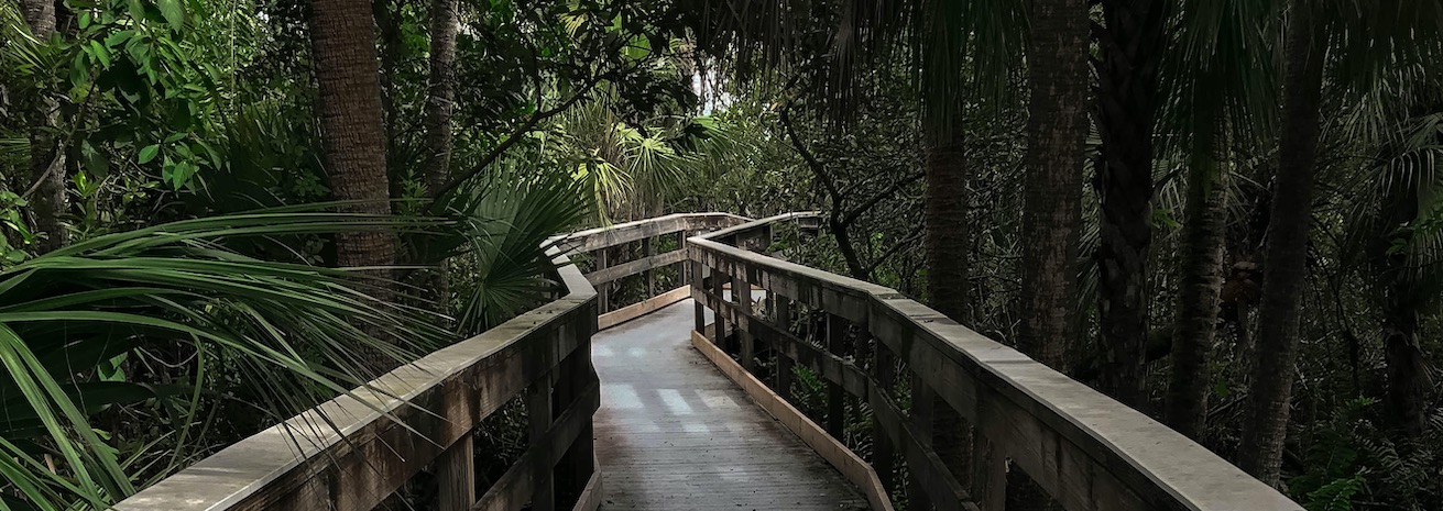 Florida Springs near Ft. Myers